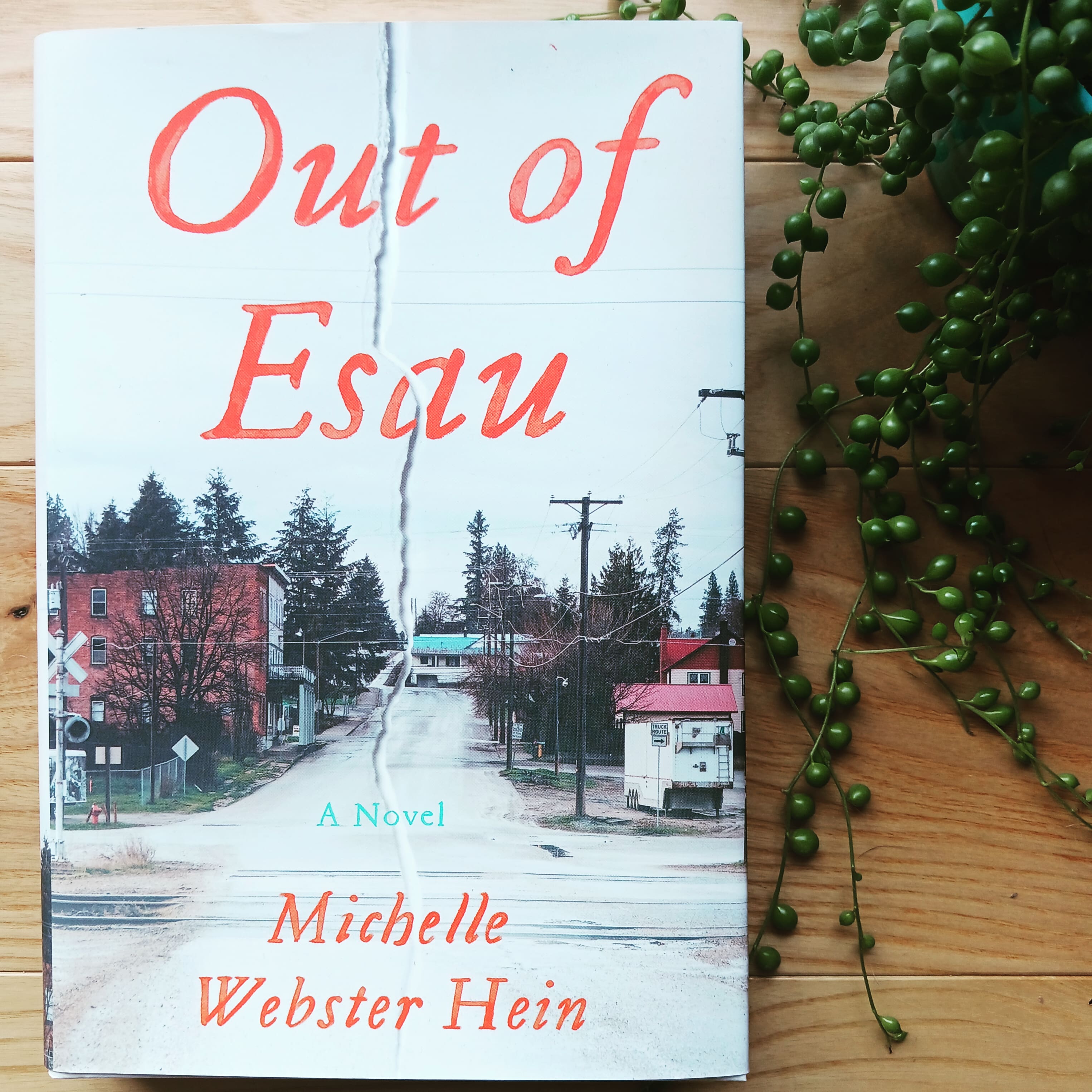 Book Clubs – Michelle Webster-Hein